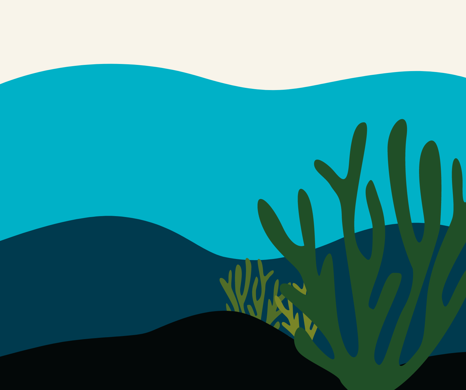 Healthy Food – Nabat Organic